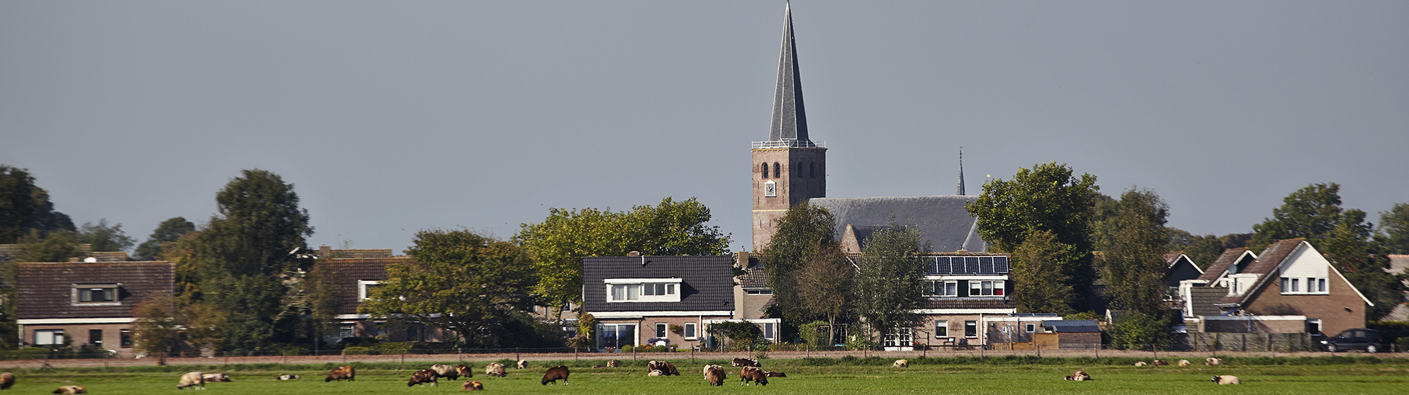 Verhaal Hallum - Terpen- en Wierdenland